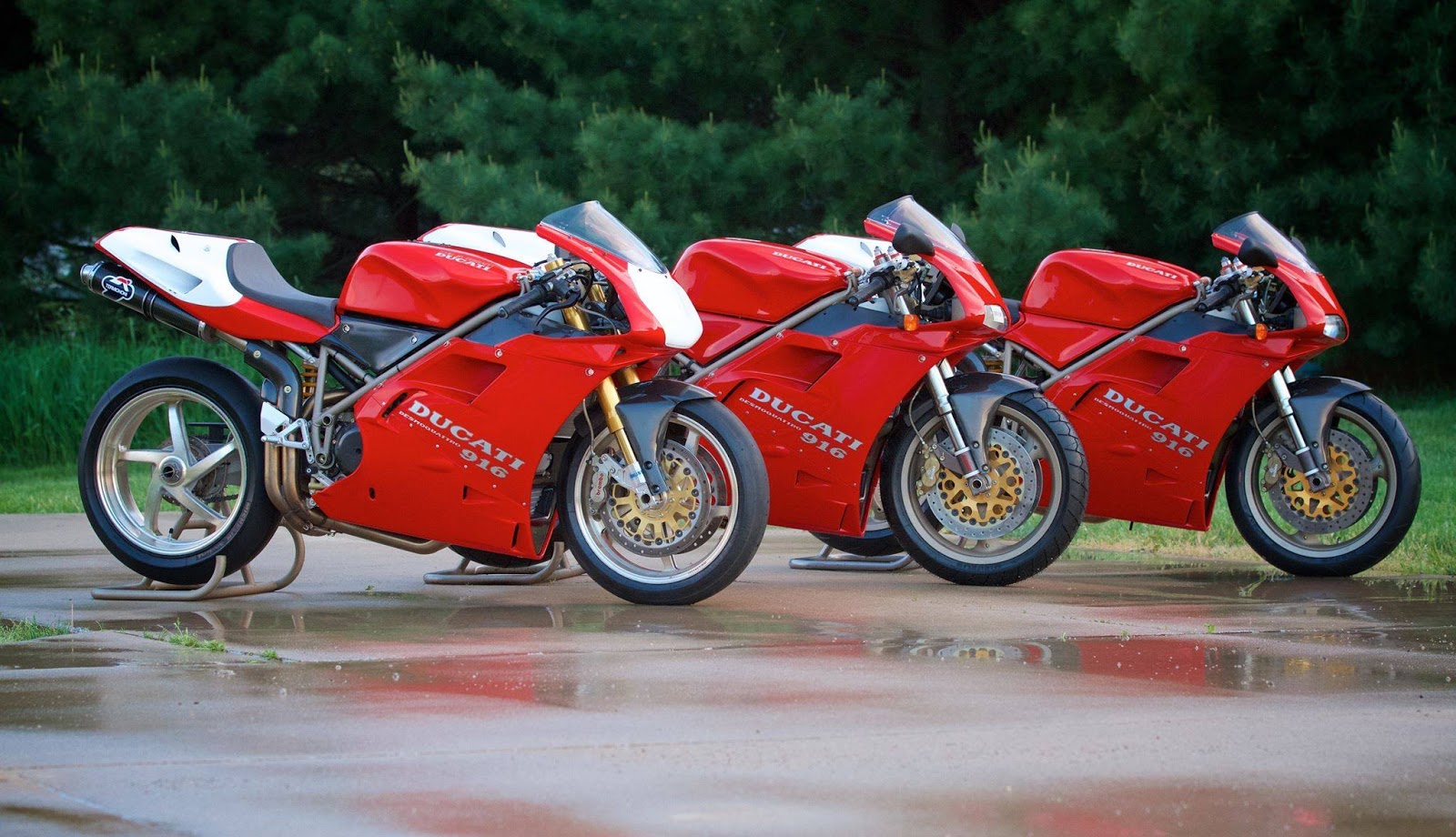 Racing Cafè: Photo #672 - 916 Series