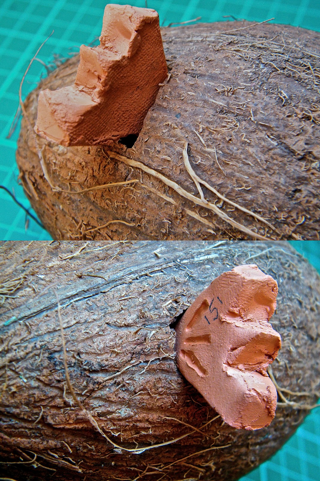 GREX LUPORUM: MYCENAEAN FAIENCE / CLAY ARROWHEADS - Part 1