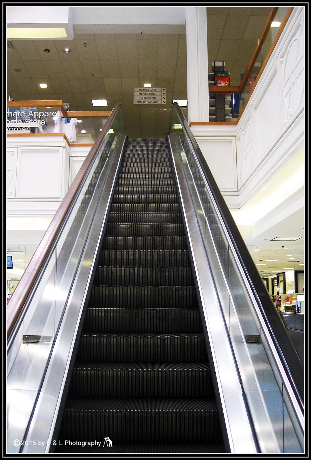 Ocala, Central Florida & Beyond: The Escalator