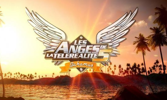TV: Les Anges de la Télé Réalité 5: Que savons nous après le prime