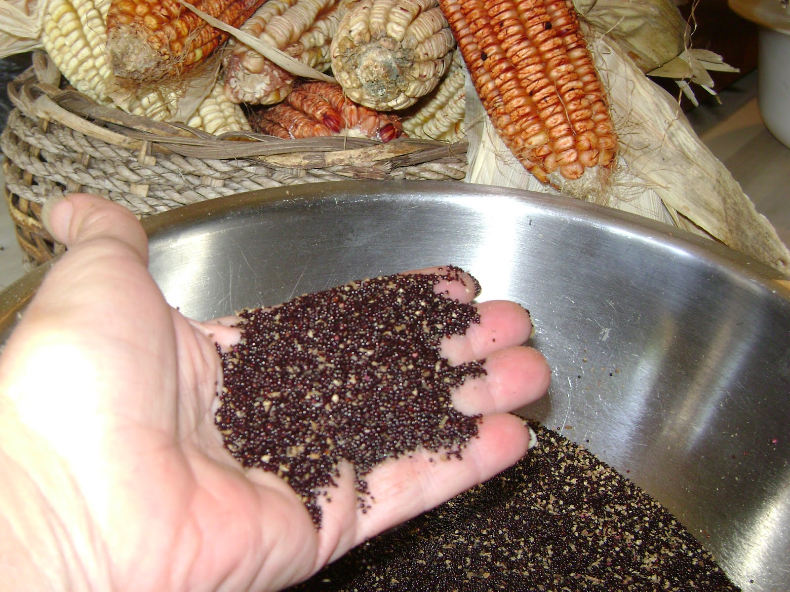 TSG: Amazing Amaranth And How To Use It