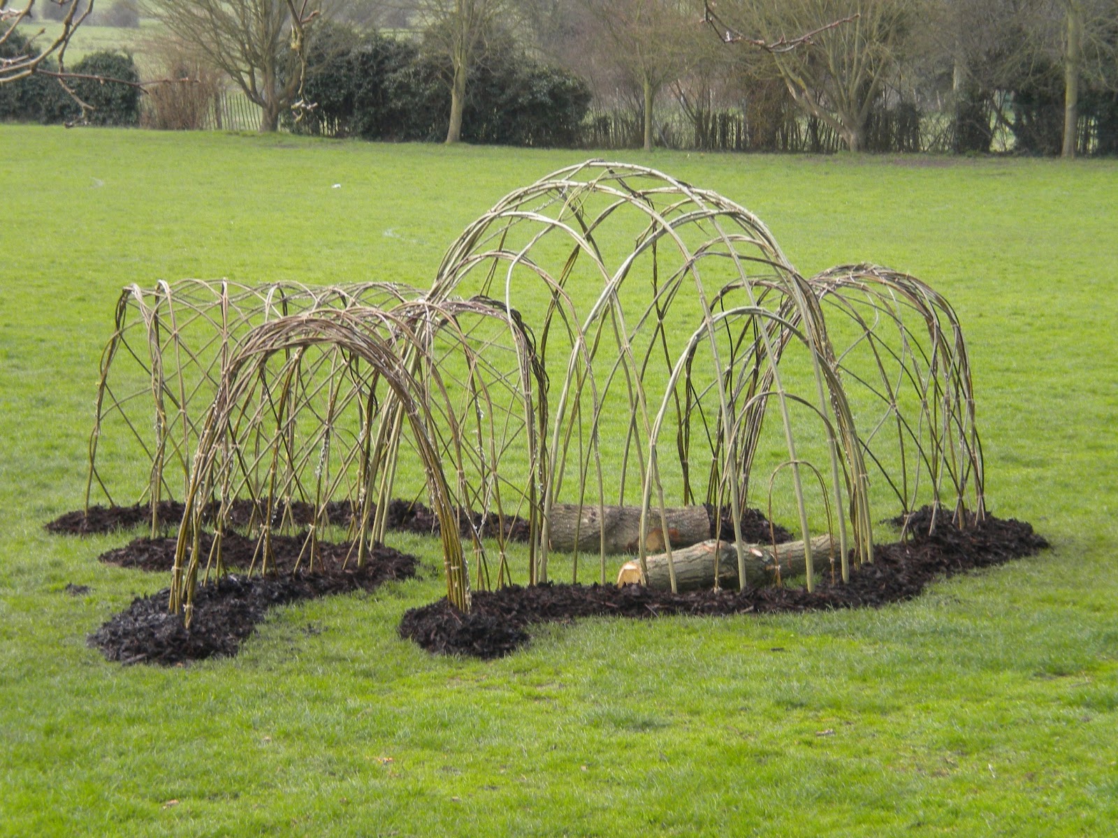 growing health by design: ~ willow weaving