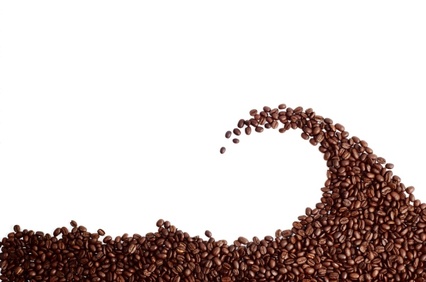 Eternal Lizdom: A Surfing Coffee Bean