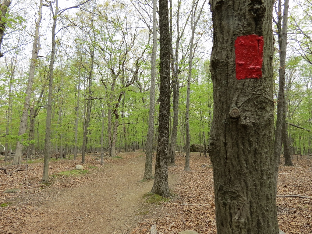 Gone Hikin': High Mountain Park Preserve, NJ - Eastern Section