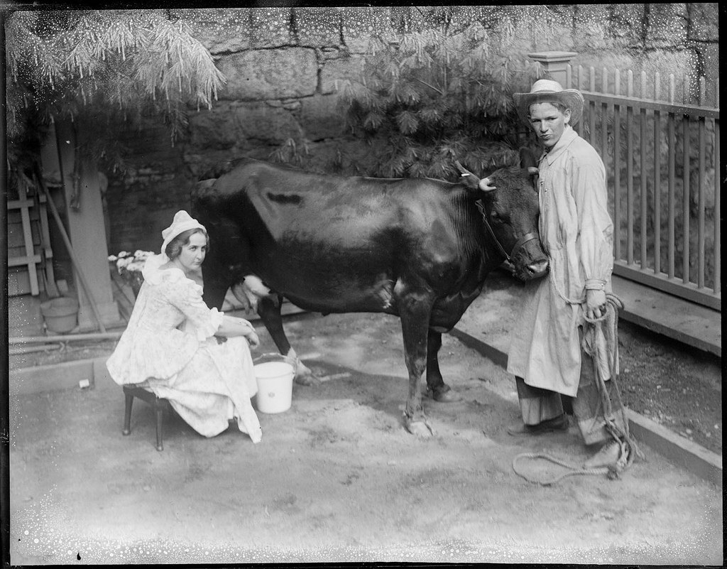 34 Fantastic Photos Capture Farm and Domestic Life of Boston from ...