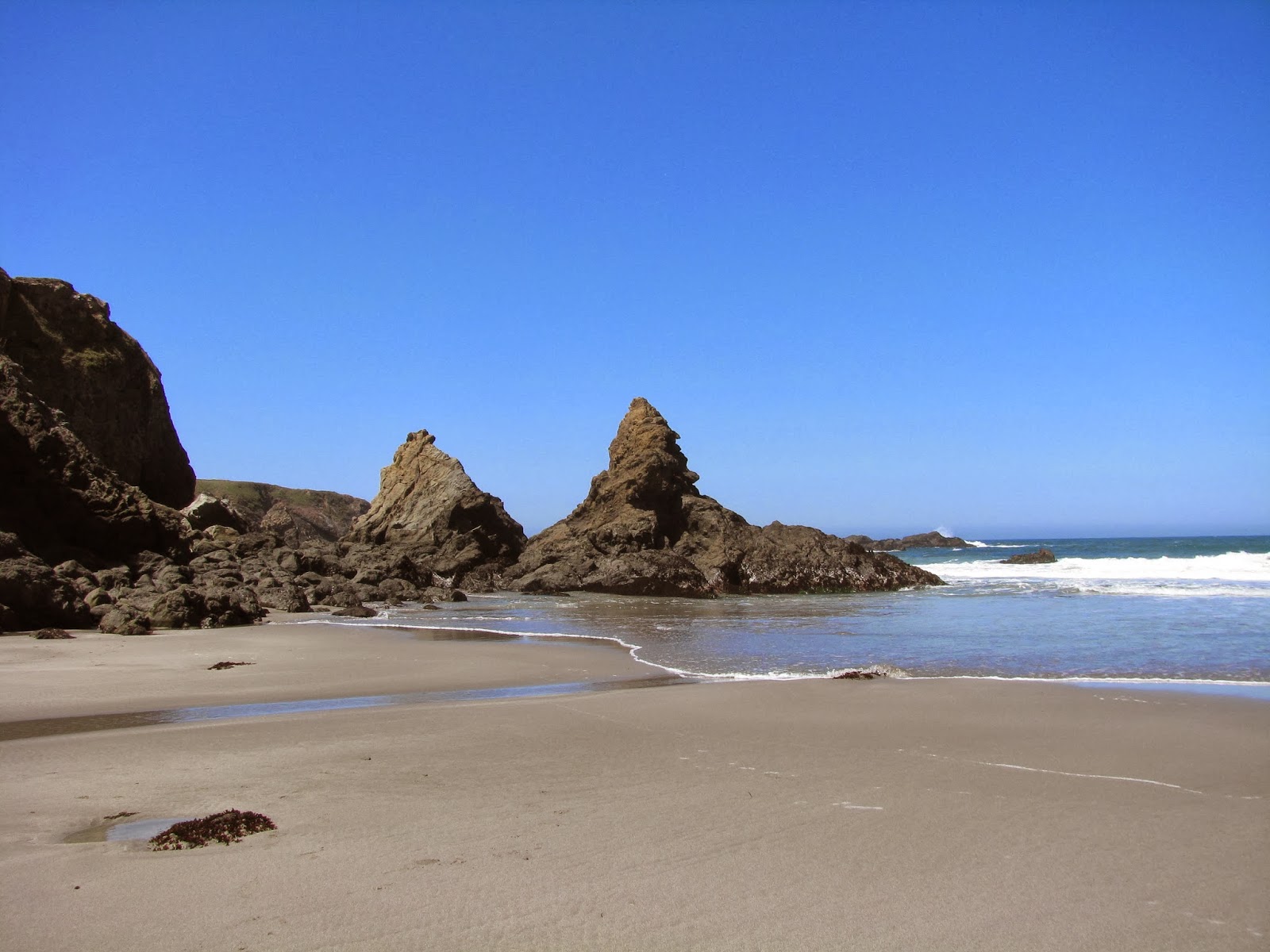 To Hike or Sit by the Pond?: California Redwood Trail: Jug Handle State ...