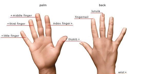 Rosana´s English Blog: HANDS POSTER 2