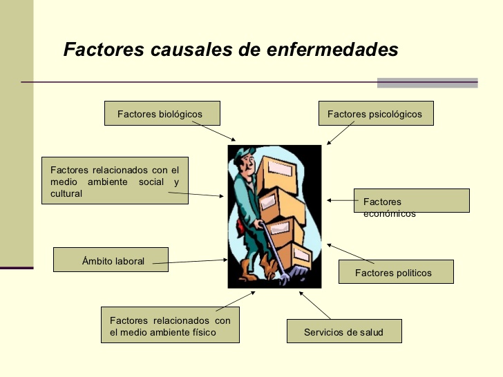 Las Enfermedades VI: MultiCausalidad. (OIT) ~ Equilibrio Delta - Salud ...