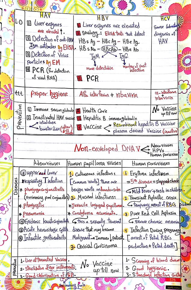 Virology Summary in 7 Pages