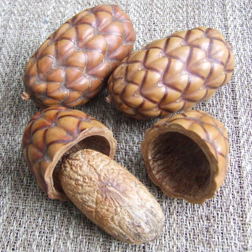 Sorazora Blog: Crafting With Uxi Seeds