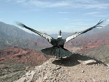 Gloria Araneta Fotografía Profesional: Mi experiencia en la fiesta del ...