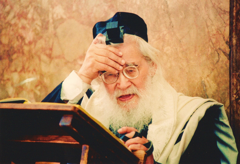 Balabus: Remembering Rav Shach zt"l