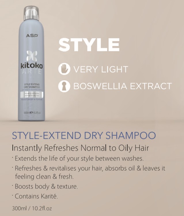 danamakeup.ro: Kitoko ARTE new hair-style products