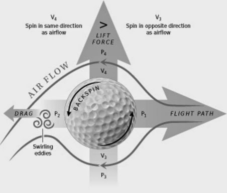 HLPE3531 Biomechanics Blog: June 2014