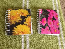 Daring Dahl: Dollar Tree Finds