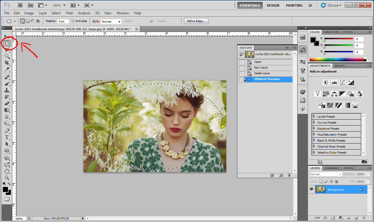 Ruche: Picture This: A Vignette Photoshop Tutorial
