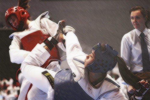 Martial Arts Sources