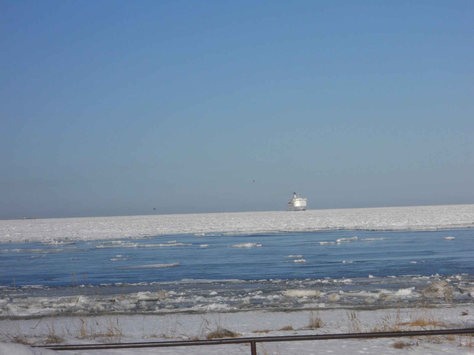 keskkonnasõbrake: Meri, mu mitmenäoline meri!
