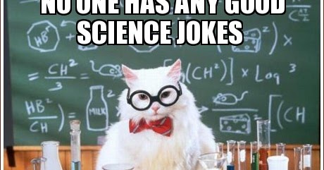 Science Cat Meme