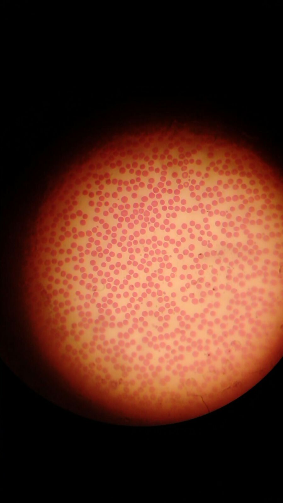 Experiencias Laboratorio