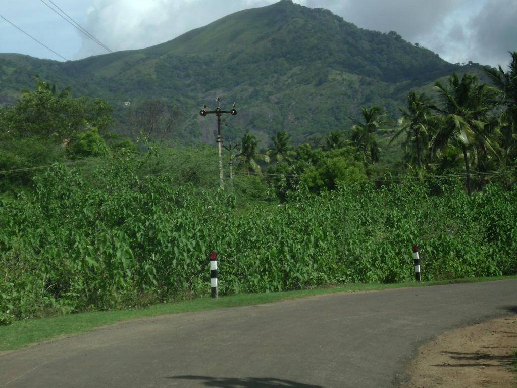 Nature Enthus - DLC : Thooval Mala - The Green Feathered Hillock