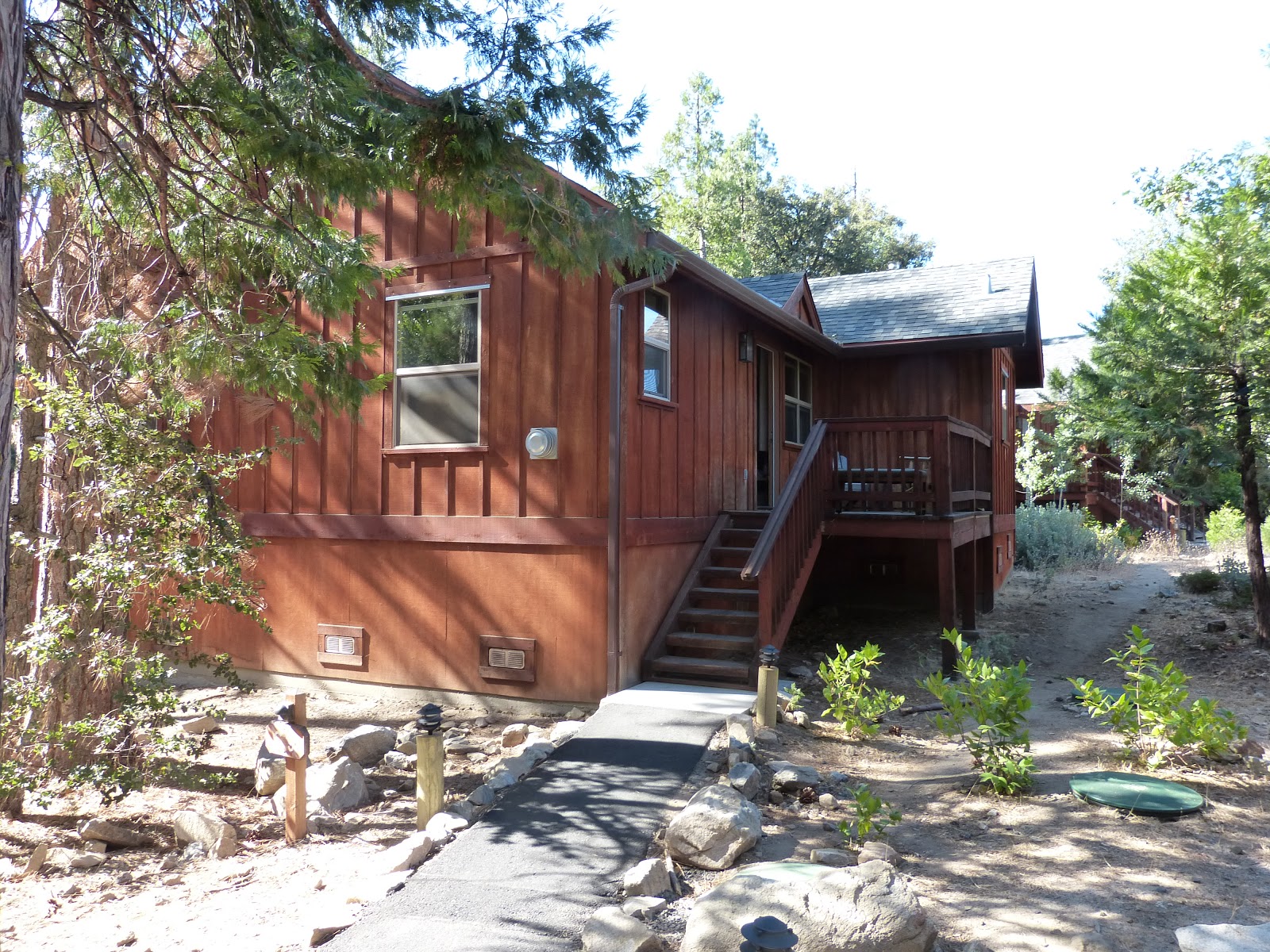 T.I.T.S. in America: On the trail of the (lonesome) pine