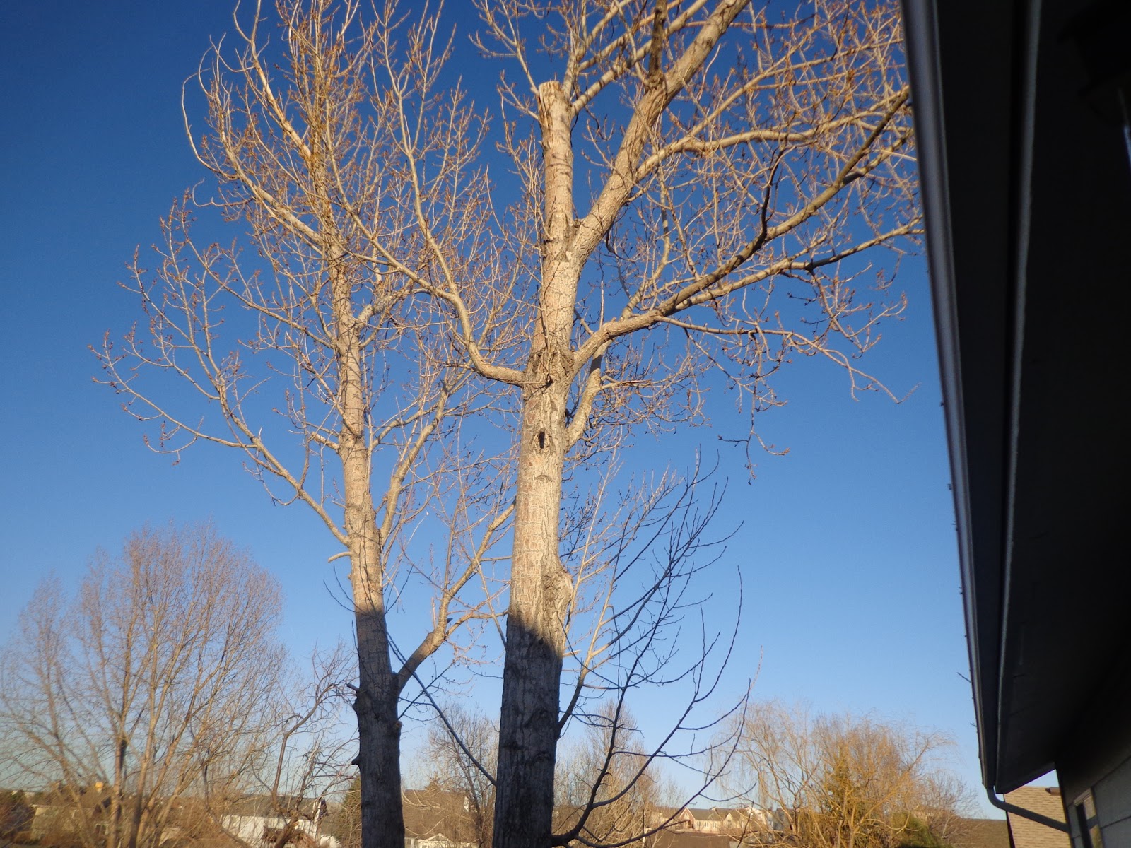 Exploring Colorado and Beyond