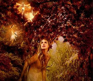 ROSANA EN EL PAÍS DE LAS HADAS: Cómo Ver a las Hadas de Fuego