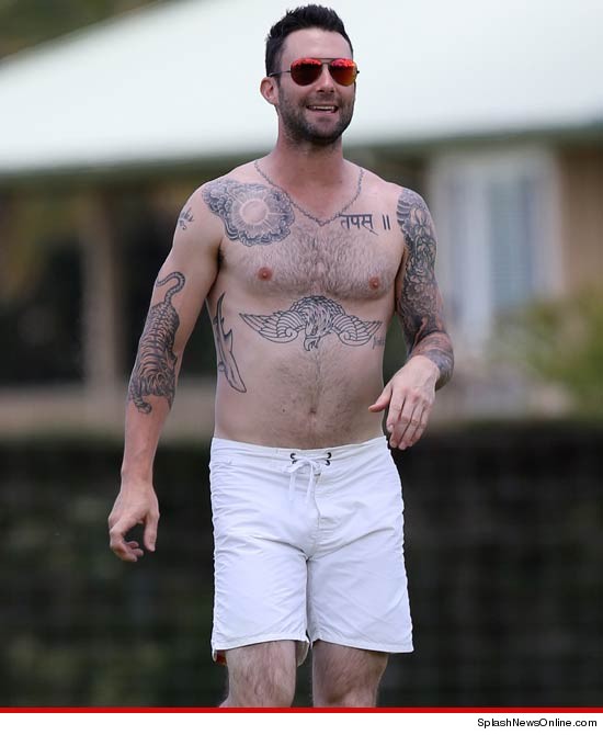 SUNDEK USA: ADAM LEVINE