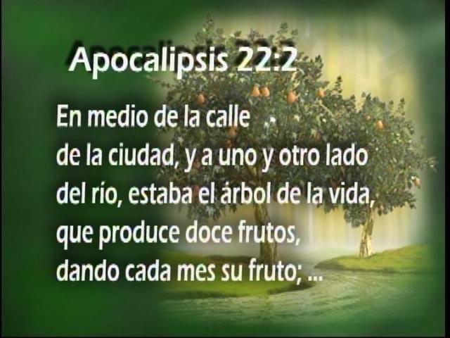 Sin Jesucristo Estoy Perdido: EL PARAÍSO Y EL ÁRBOL DE LA VIDA