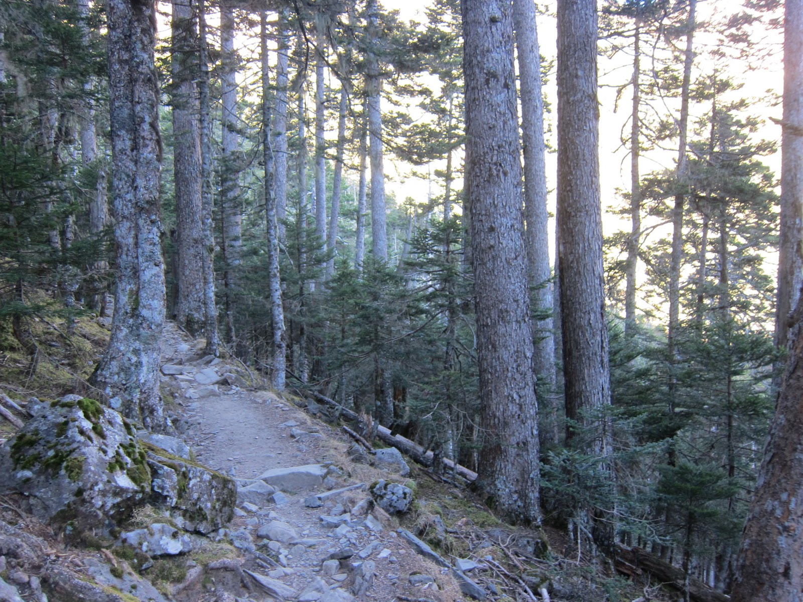 GEAR UP, GET OUT: Trip Report: Xueshan (Snow Mountain), Taiwan