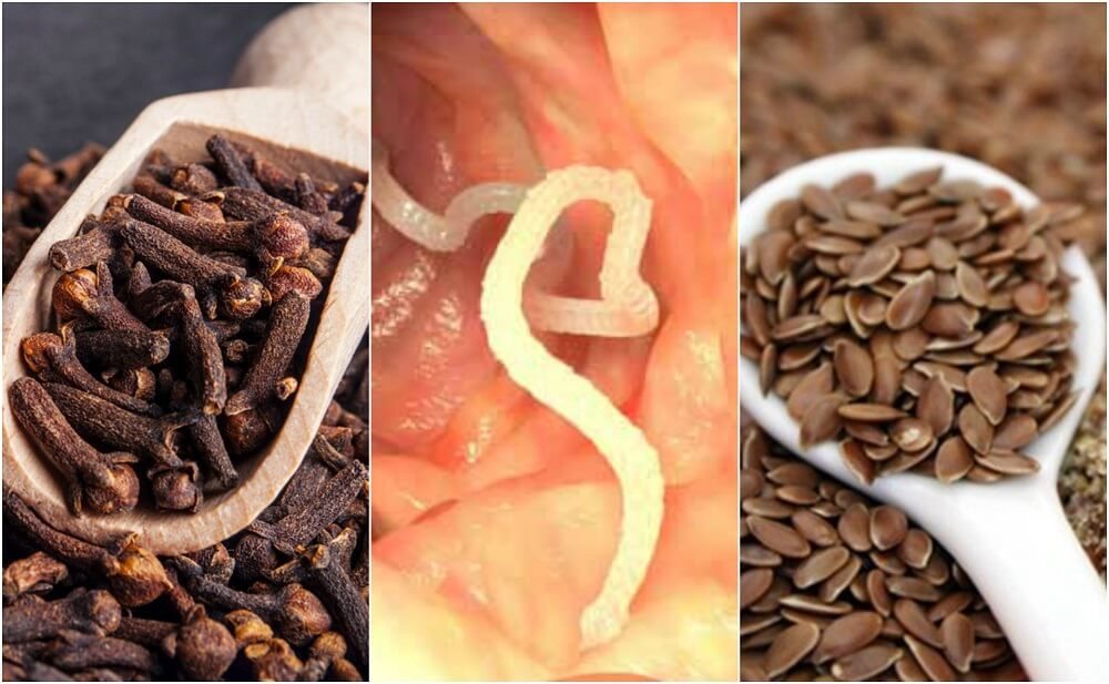 MUNDOBLOG: Síntomas que indican que tienes parásitos en el cuerpo y ...