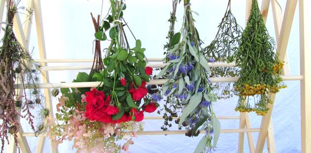 Ini Dia Cara Mudah Mengeringkan Bunga