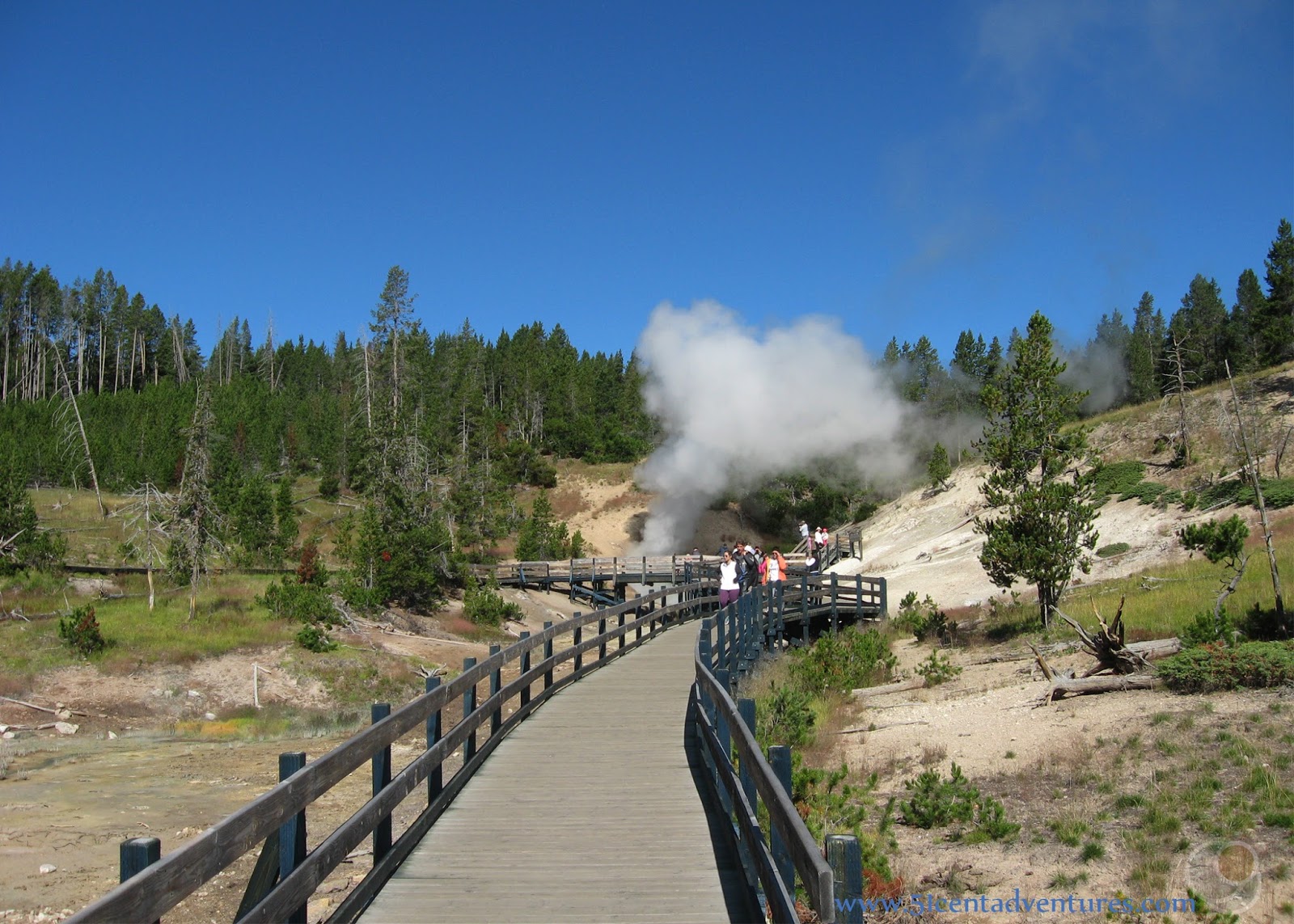 51 Cent Adventures: Mud Volcano Area - Yellowstone National Park