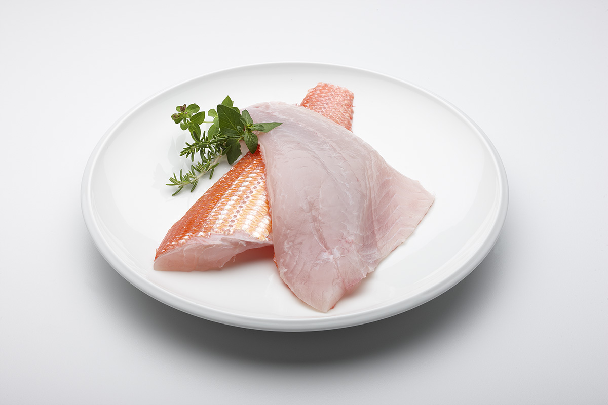 What Eats The Red Snapper as Their Natural Predators? - Fresh Red ...