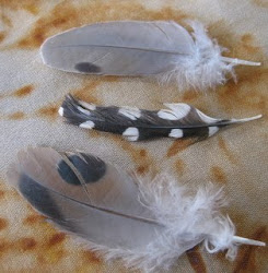 Tanglewood Threads: Winter Solstice