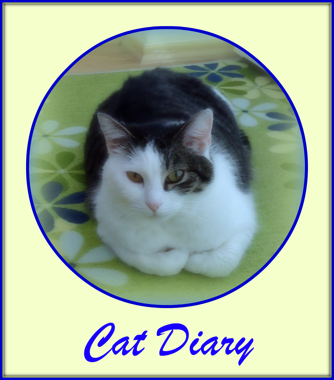 Beyond Strange New Words: Cat Diary (12): Halloween Costume