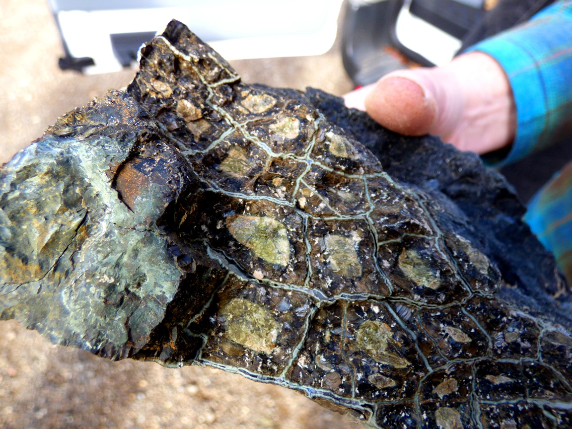 Geotripper: A Netherworld Incompatible with the Existence of Life: The ...