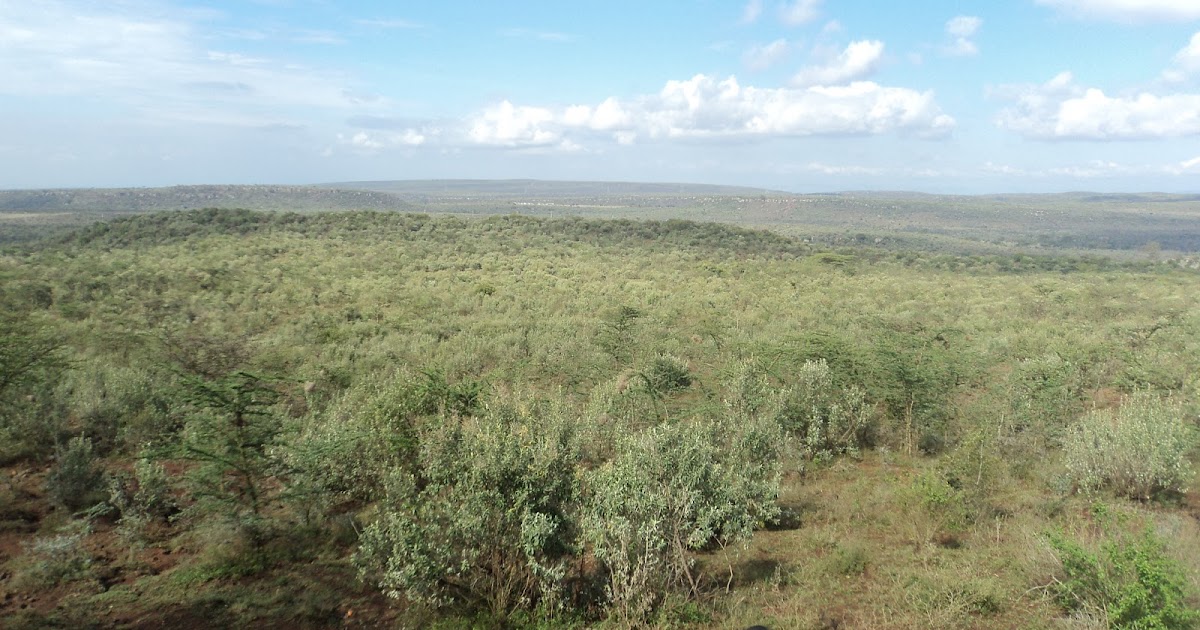 22 Acre land for sale in Kiloret along Ngong Najile road