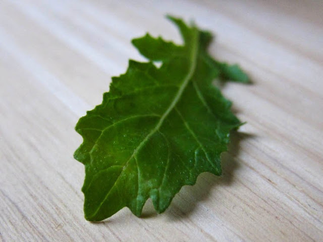 the indolent cook: vegan cashew wasabi leaf pesto