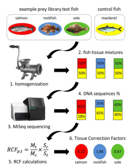 Biodiversity Science: Quantitative metabarcoding