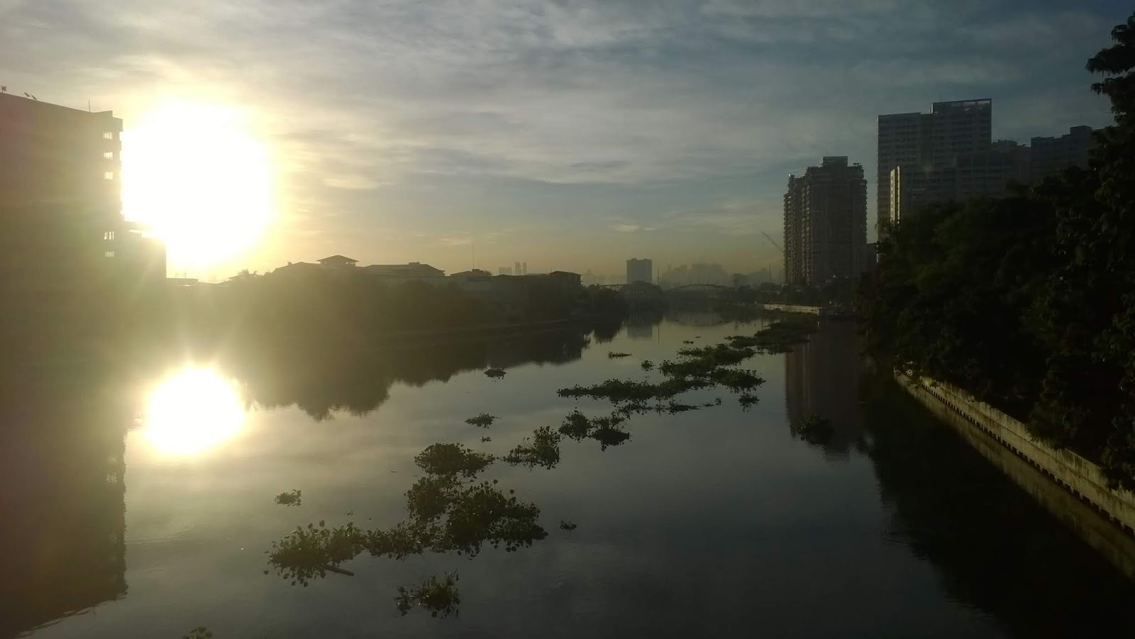 Save the Philippine Nature and Environment Starting with Pasig River ...