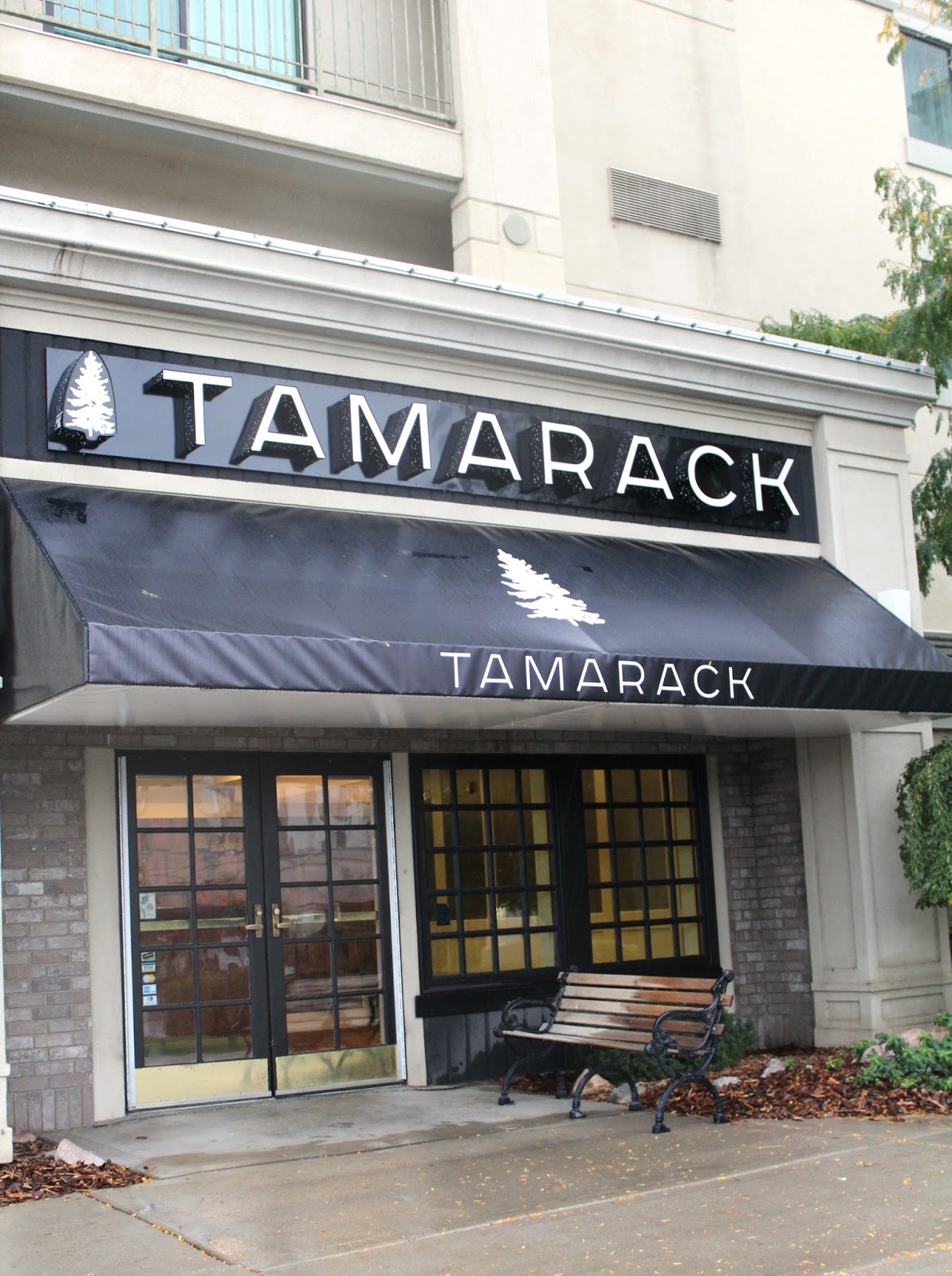 Breezy Days: Tamarack: A Fantastic Addition to the Provo Food Scene