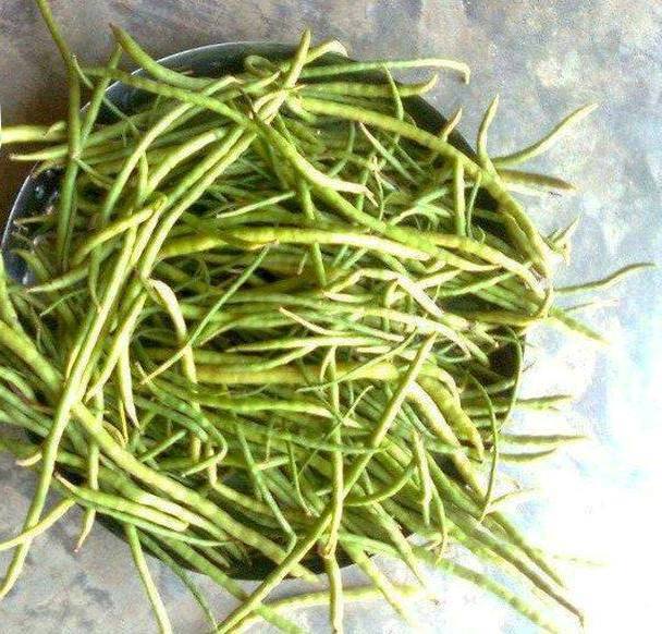 Sangri in Rajasthan | Sangri Ki Sabji | Achar | Saag | Ker Sangri ...