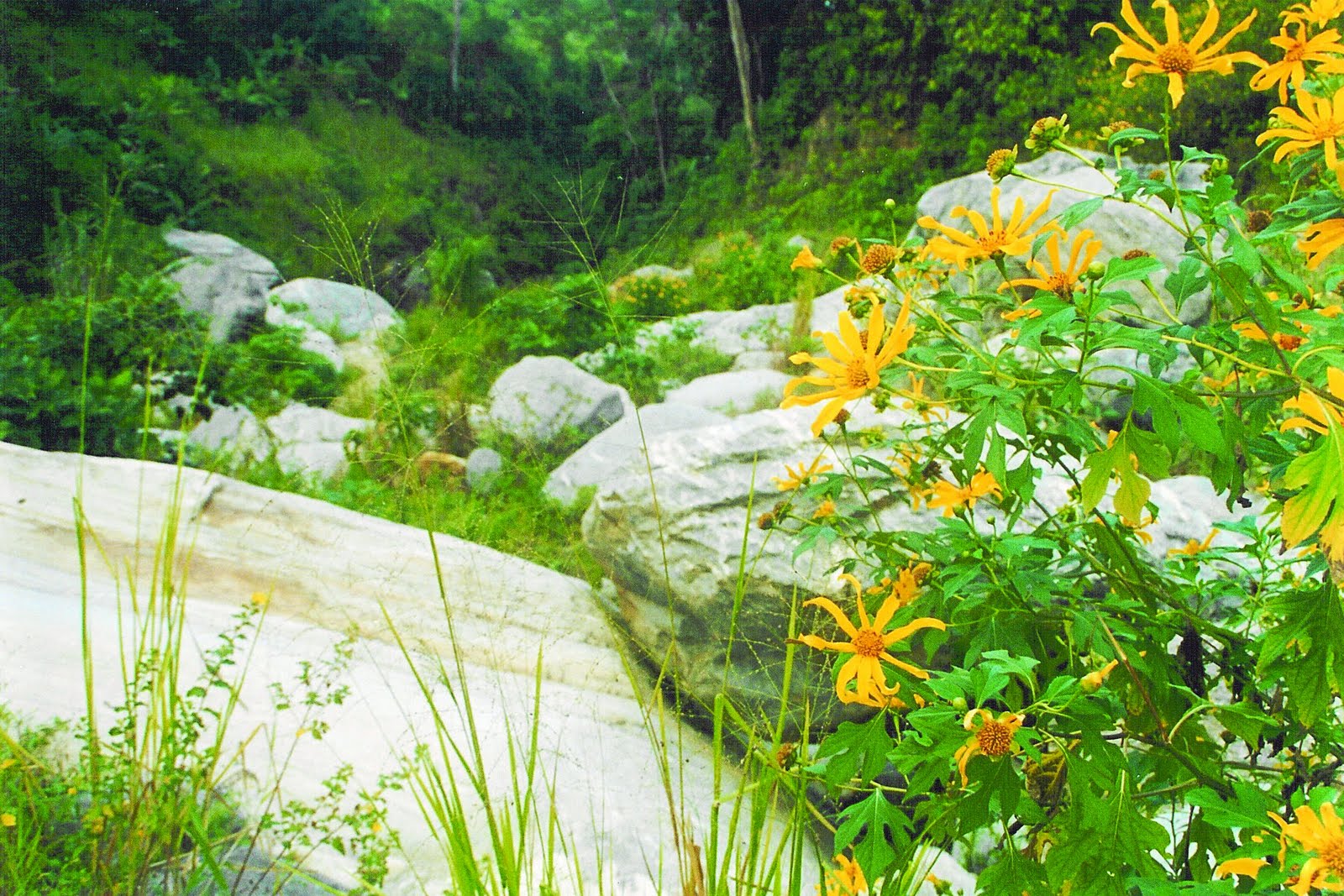 TURISMO EN VARGAS: GALIPAN LUGAR DE ENSUEÑO