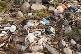 science&technology: Land Pollution Solutions