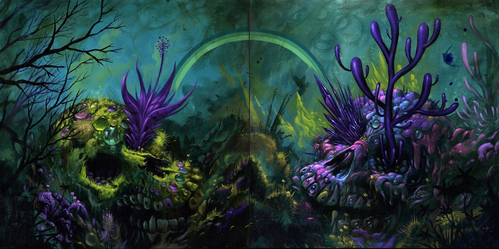 Jeff Soto | nUvegante