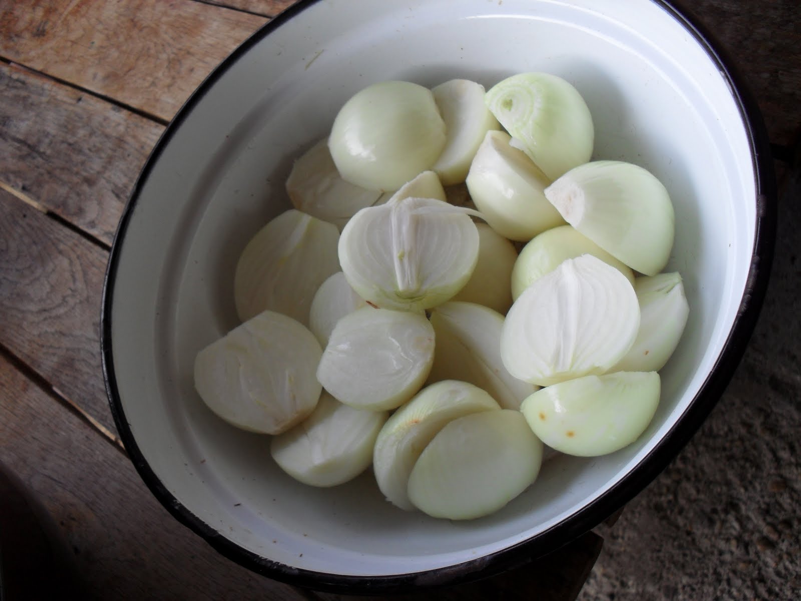 Páfrányok érintése: ZAKUSZKA