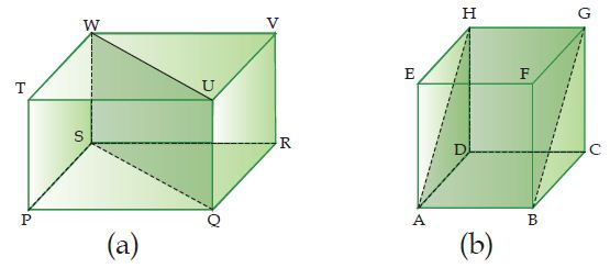 Pengertian Bidang Diagonal dan Contoh Soalnya - Indonesia Pintar