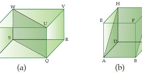 Pengertian Bidang Diagonal dan Contoh Soalnya - Indonesia Pintar
